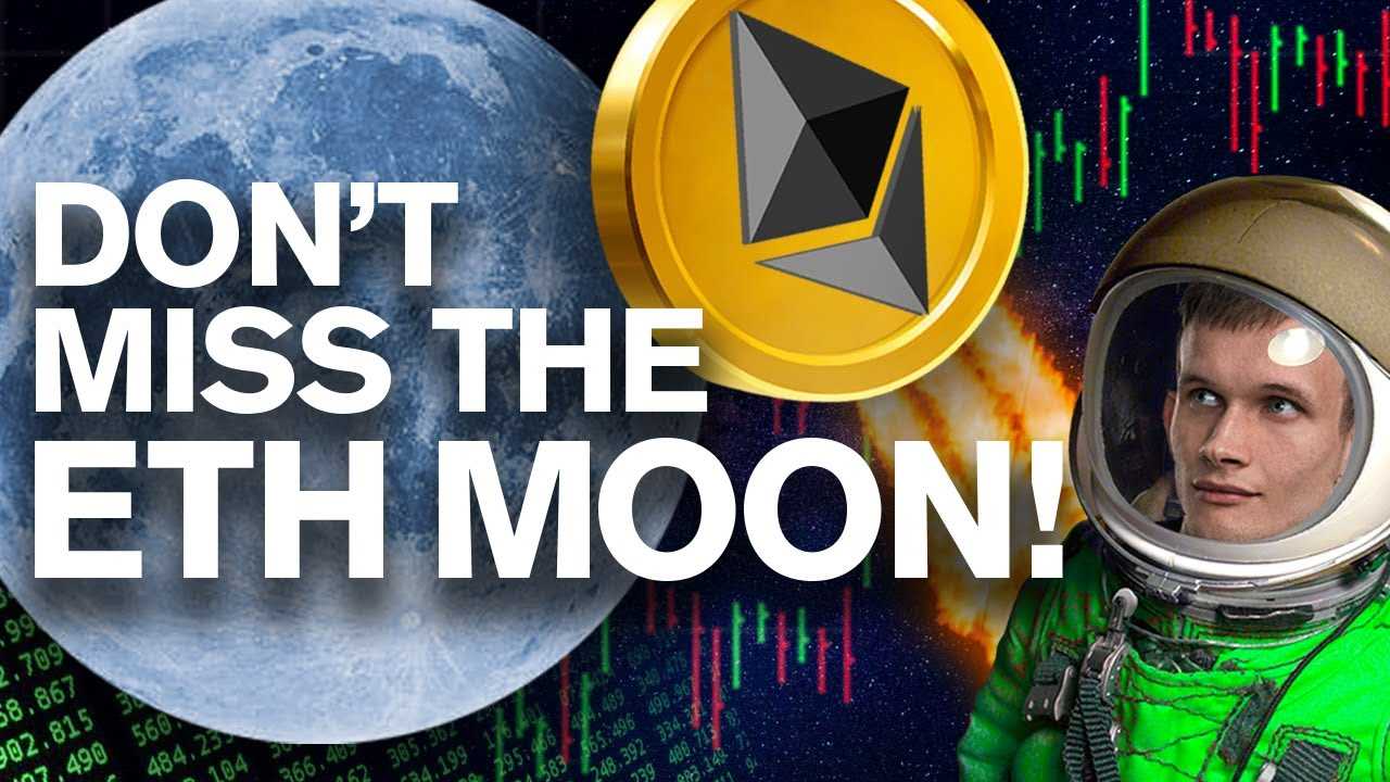 GM WAGMI - An All-Encompassing History of the Memes that Define ...